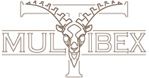 Multibex – Das Multitalent fürs Handwerk